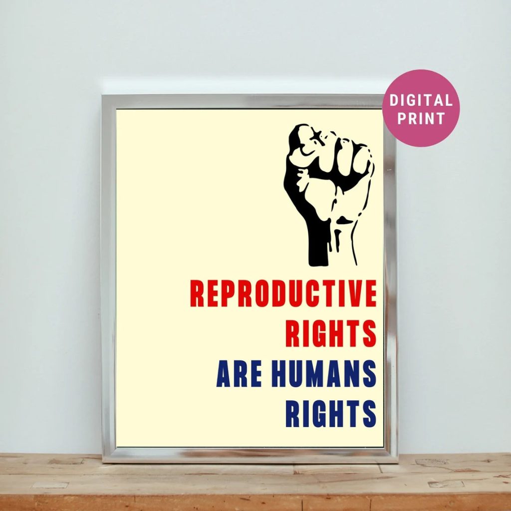 Reproductive Rights Are Human Rights, Pro Choice Best Poster
