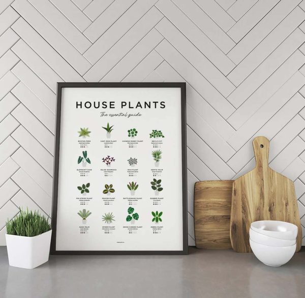 House Plants Botanical, Plant Poster - Mazeshirt