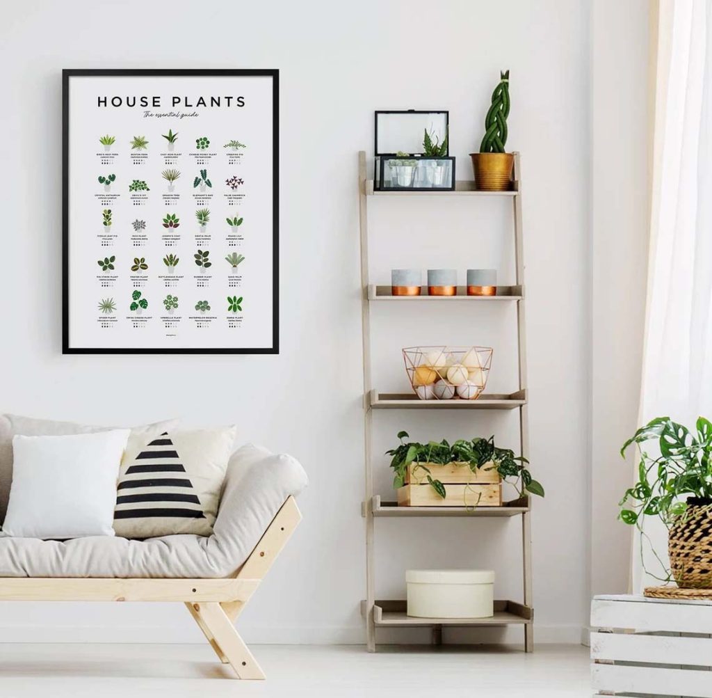 House Plants Botanical, Plant Poster - Mazeshirt
